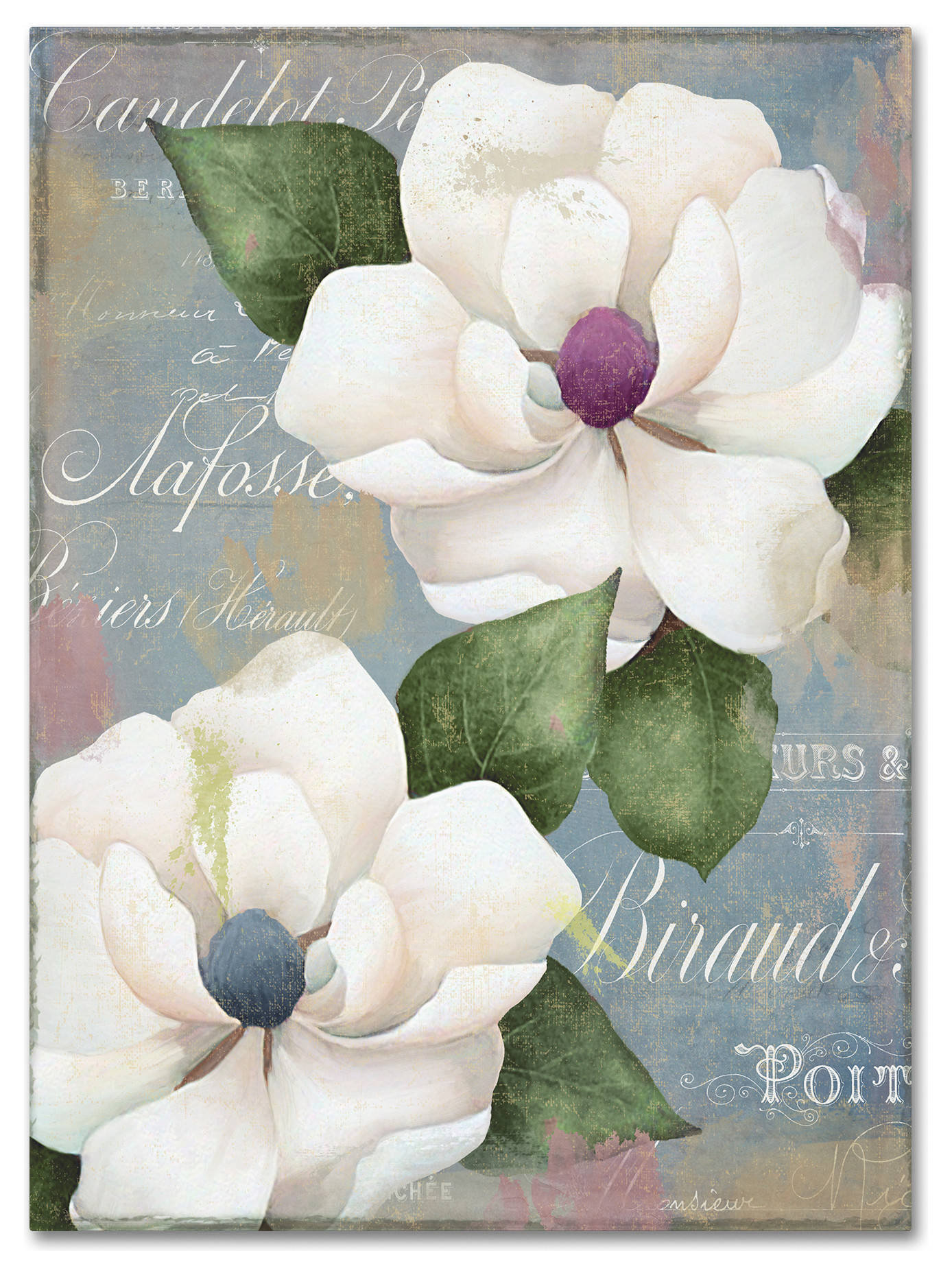 Color Bakery 'Southern Charms' Canvas Art, 14"x19" - Contemporary ...
