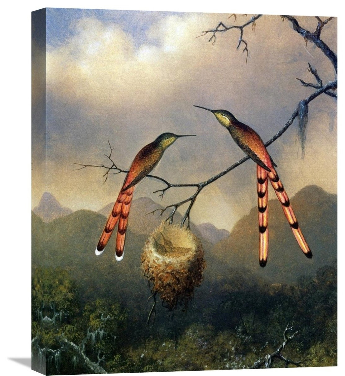 "Two Hummingbirds With Their Young" Artwork, 18.04" x 22" - Tropical ...