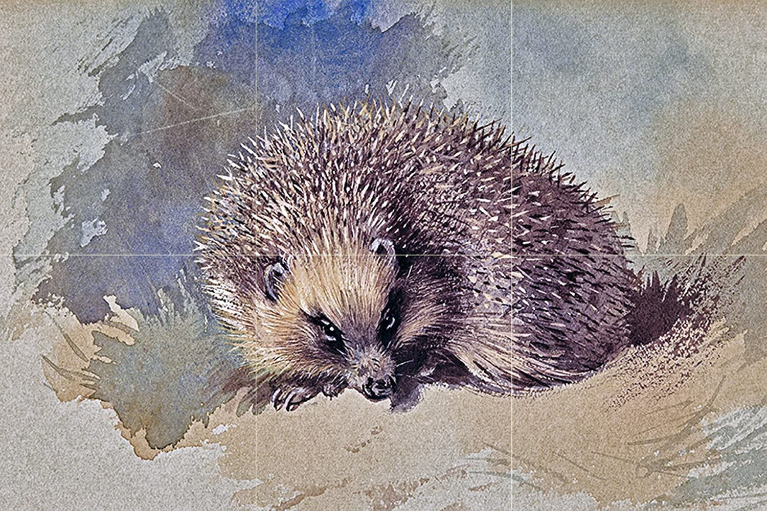 Tile Mural HEDGEHOG Kitchen Bathroom Shower Backsplash, Four Inch ...