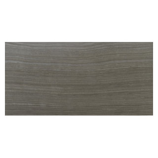 Eramosa Silver 12X24 Porcelain Tile, 4x4 or 6x6 Sample - Contemporary ...