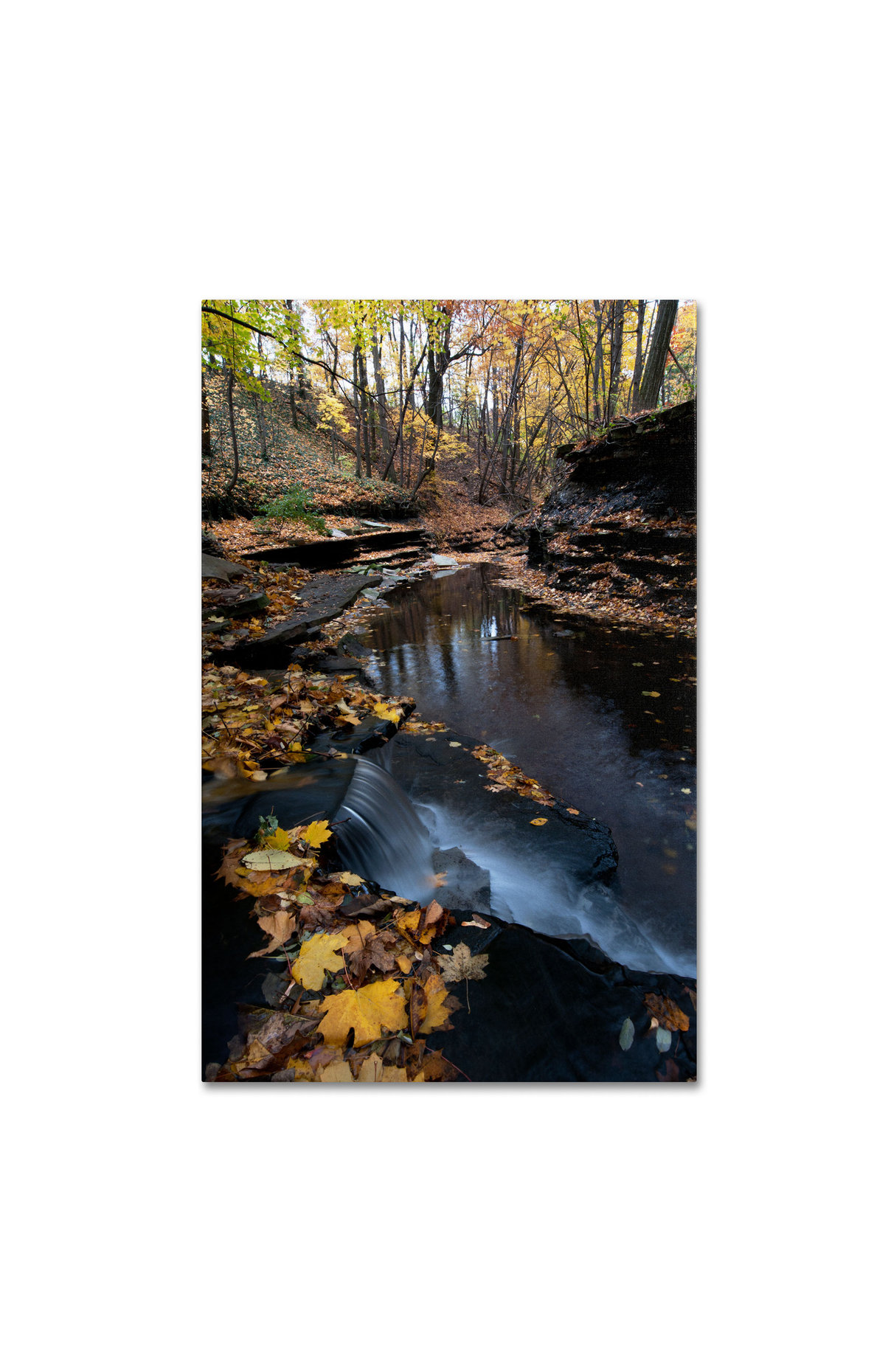 'Autumn Stream' Canvas Art by Kurt Shaffer, 12" x 19" - Rustic - Prints ...