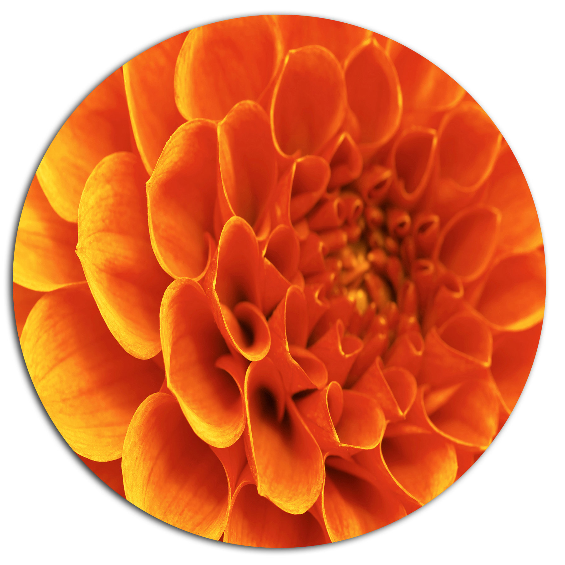 Designart - Large Orange Flower and Petals' Disc Floral Circle Metal ...