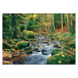 Forest Stream Mural 278 - Rustic - Wallpaper - by The Home Store | Houzz