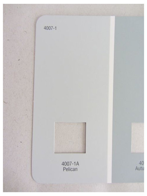 Does this paint color work in this room?