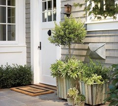 Spruce up my front doors...? | Houzz Forum