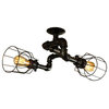 Flush Mount 2-Bulb Ceiling Light - Industrial - Flush-mount Ceiling ...