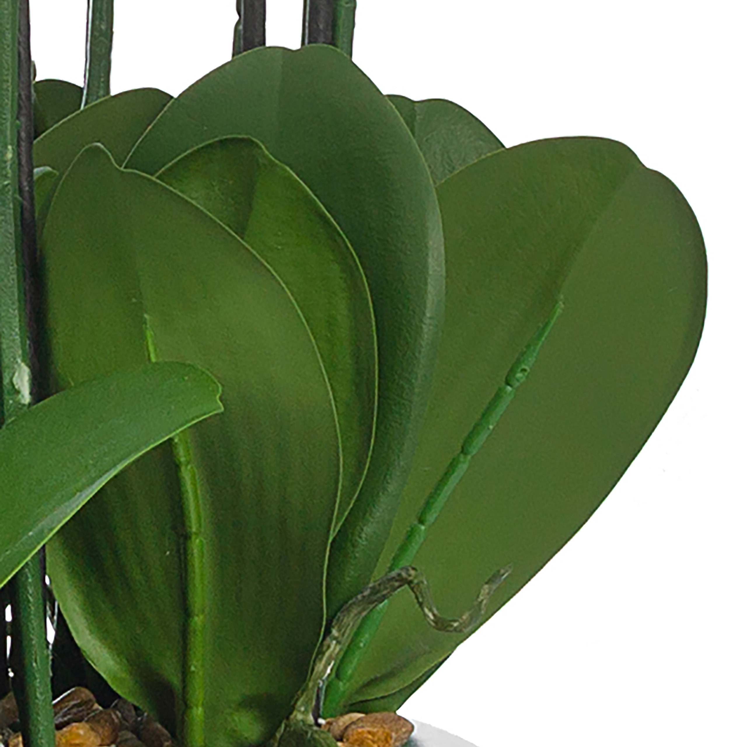Plastic Phalaenopsis Orchids Floral Arrangement, Pot - Artificial ...