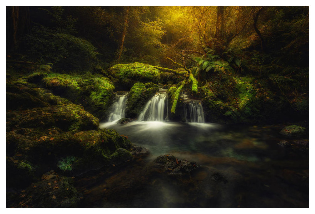 "Obya" Digital Paper Print by Glendor Diaz Suarez, 20"x14", 62"x42 ...