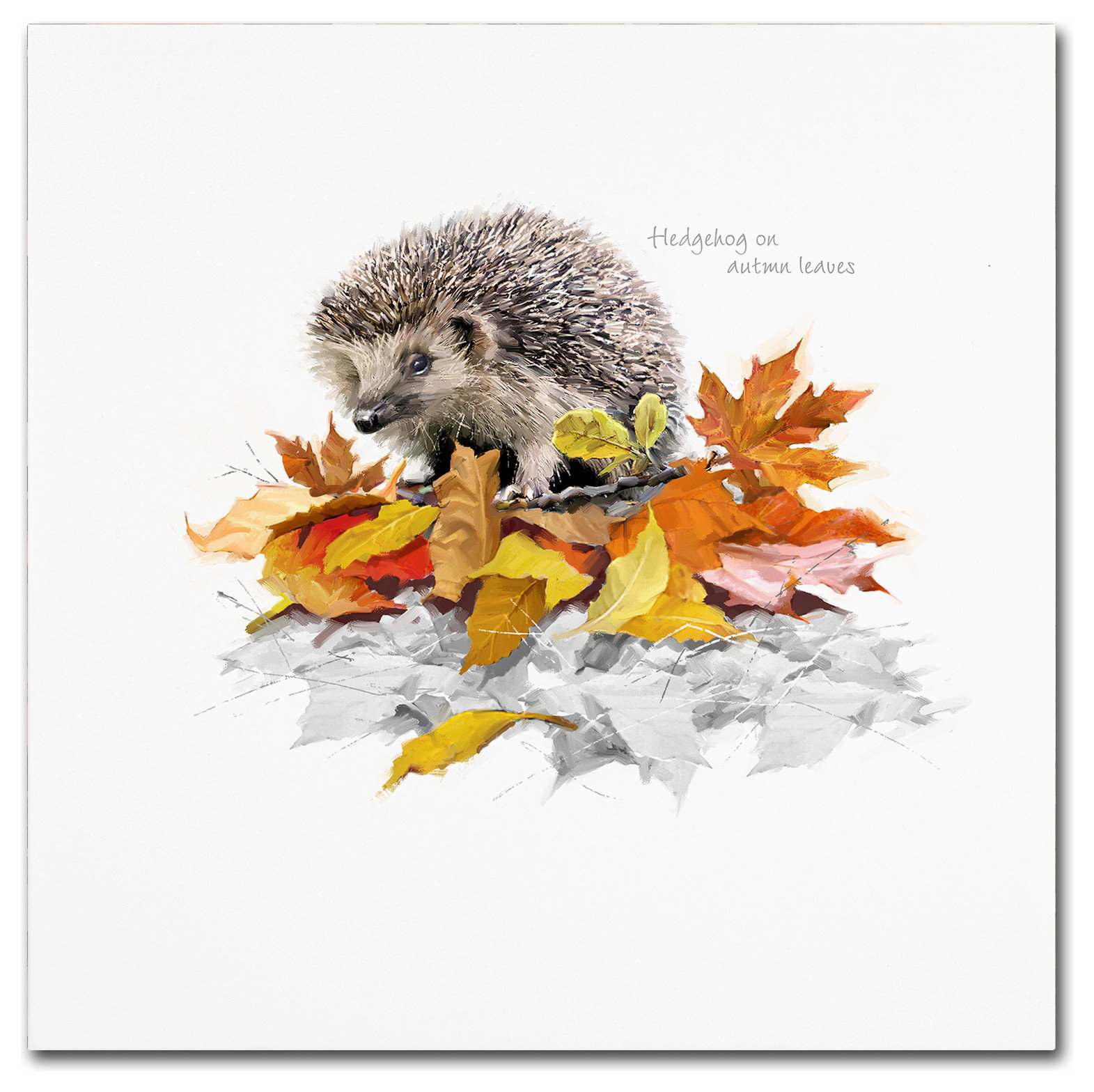 The Macneil Studio 'Hedgehog' Canvas Art, 35"x 35" - Contemporary ...