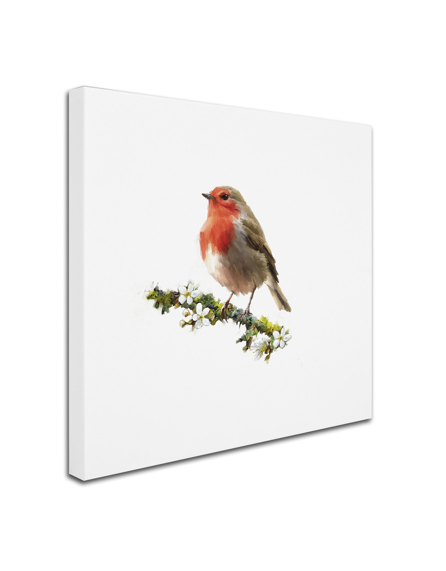 The Macneil Studio 'Robin' Canvas Art, 18"x18" - Contemporary - Prints ...
