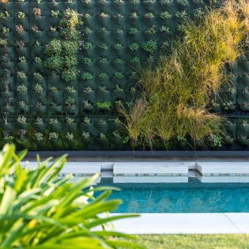 75 Turquoise Landscaping Ideas You'll Love - May, 2022 | Houzz