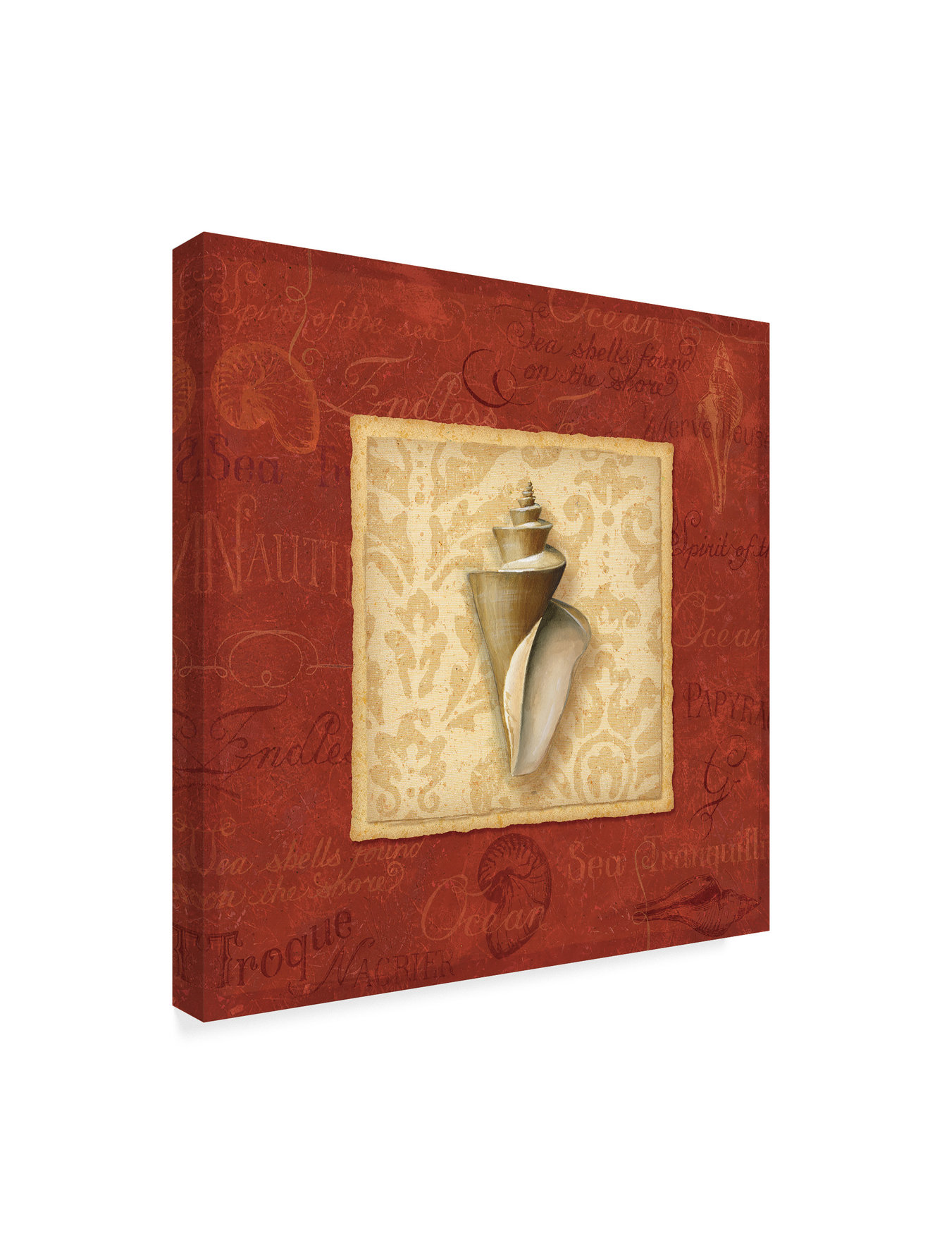 Lisa Audit 'Red Frame Shell III' Canvas Art, 14"x14" - Beach Style ...
