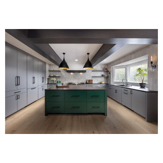 A Kitchen Color Story - Contemporary - Kitchen - Detroit - by Stalburg ...