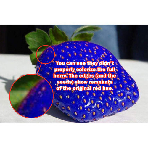 A short guide to recognizing digitally altered images.