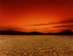 Desert-Themed Bedroom