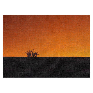 Sharp Colors 355 Area Rug, 5'0"x7'0" - Contemporary - Novelty Rugs - by ...