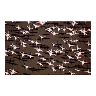 "Greater Flamingo and Lesser Flamingo Kenya" Print by Tim Fitzharris ...