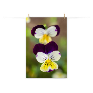 Pretty Little Violets Floral / Botanical Photograph Unframed Wall Art ...
