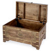 Company Nador Hand-Painted Storage Trunk, Light Brown - Transitional ...