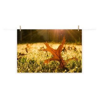 Fall Leaf in Morning Sun - Autumn Nature Photograph Unframed Wall Art ...