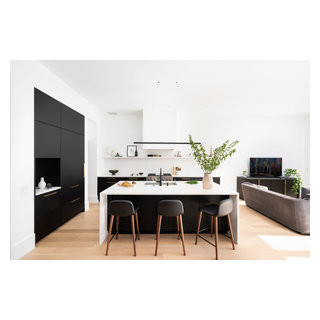 Ultra Sleek Kitchen on the Hill - Contemporary - Kitchen - DC Metro ...