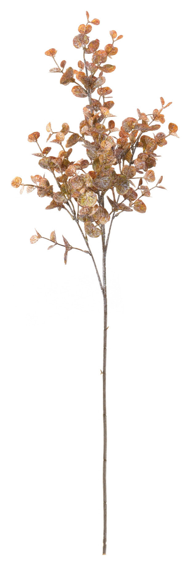 Fall Eucalyptus Leaf Spray, Set of 6 - Traditional - Christmas ...