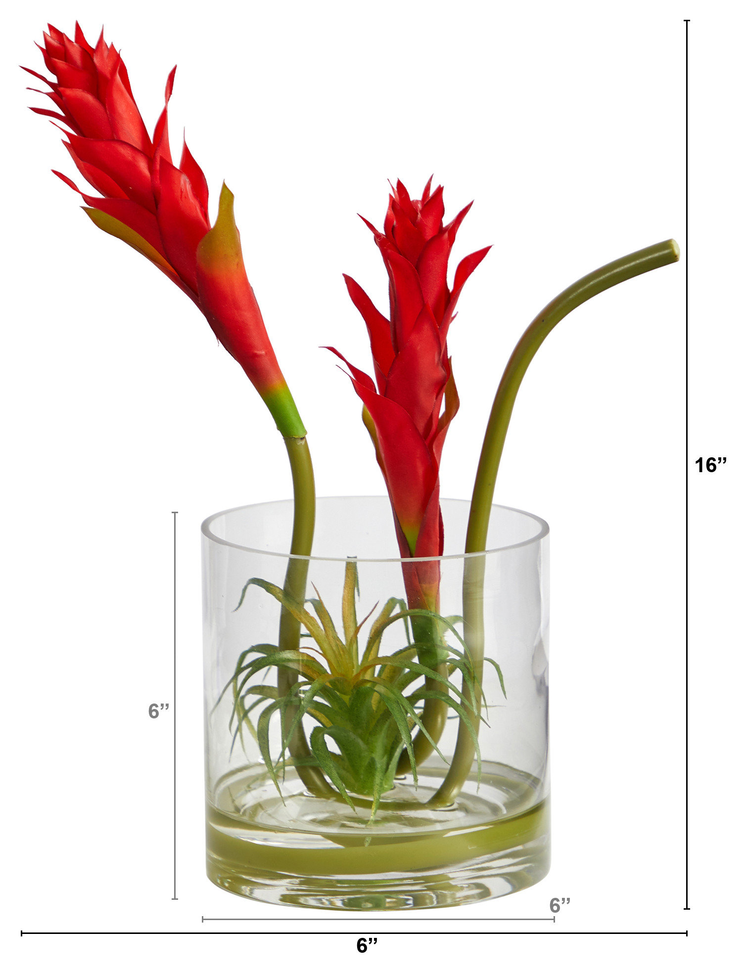 16" Star Bromeliad Artificial Arrangement, Glass Vase - Modern ...