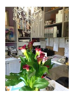 Show Us Your Home Office!