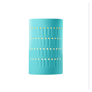 Ambiance Small Cactus Cylinder Outdoor Wall Sconce, Open, Reflecting ...