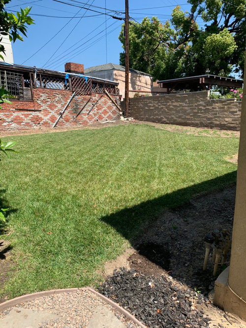 How can I fix my ugly backyard?