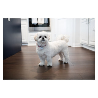 Catura Signature | Modin Rigid LVP Collection Customer Space | TX ...