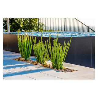 Infinity Edge Spa w/ View - Contemporary - Pool - Orange County - by ...