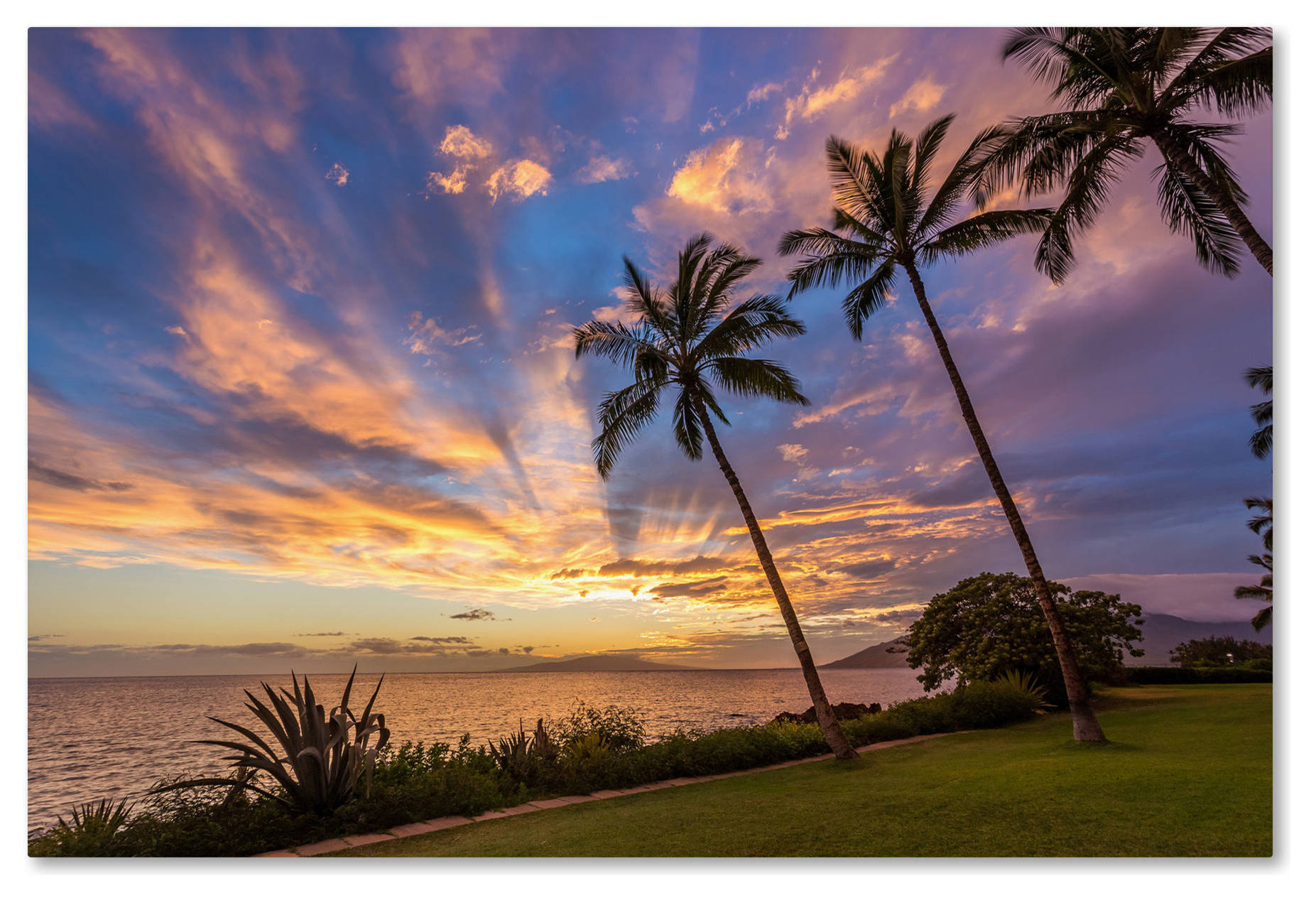 Pierre Leclerc 'Magical Hawaiian Sky' Canvas Art, 32"x22" - Tropical ...
