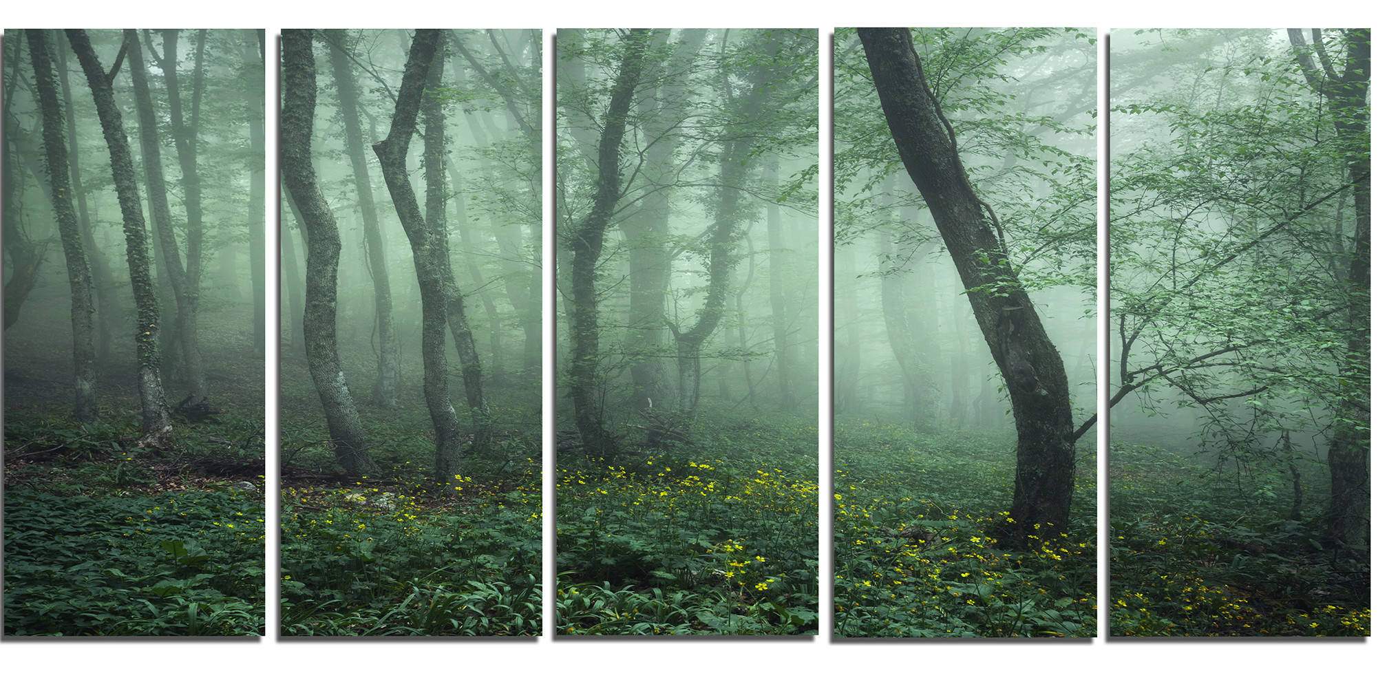 "Trail Through Dark Foggy Forest" Landscape Photo Metal Art, 60"x28" 5 ...