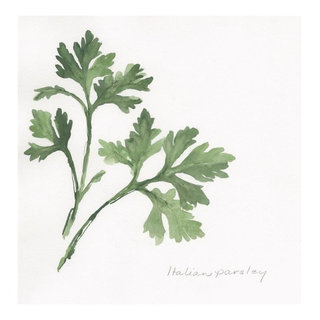"Italian Parsley" Digital Paper Print by Chris Paschke, 20"x20", 32"x32 ...