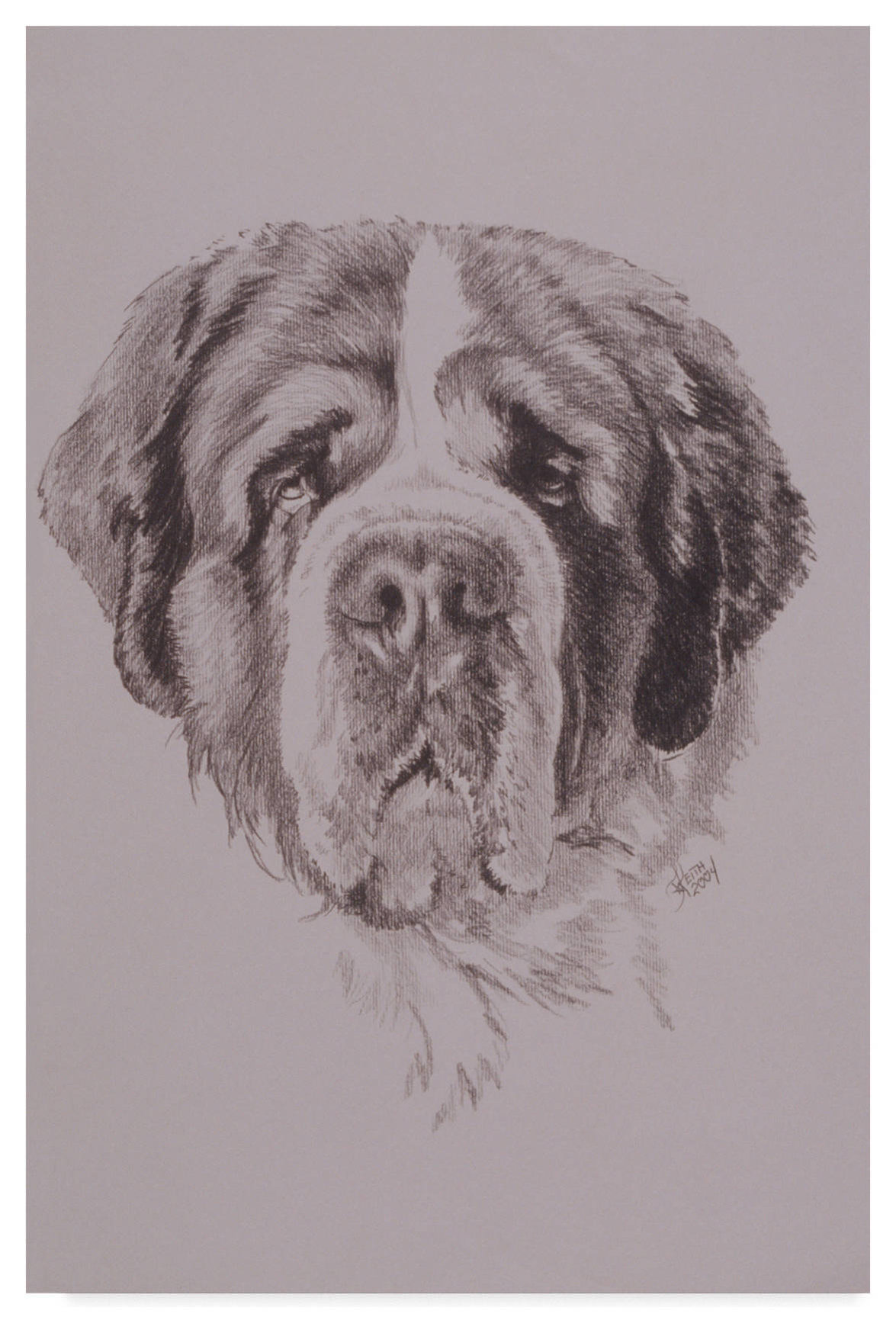 "St Bernard" by Barbara Keith, Canvas Art, 12"x19" - Contemporary ...