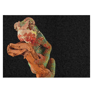 Sharp Colors 127 Area Rug, 5'0"x7'0" - Contemporary - Novelty Rugs - by ...