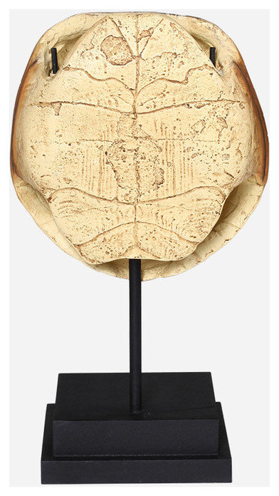 Faux Gopher Tortoise Shell on Stand - Contemporary - Decorative Objects ...