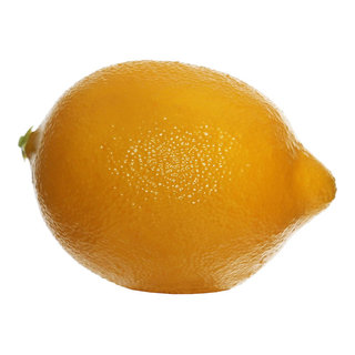 75Mm Styrofoam Lemon (Pk/12) - Farmhouse - Decorative Objects And ...