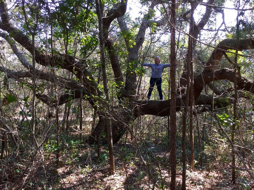 Advice-John Tee's new "May Isle Cottage," Southern Living Plan 1905