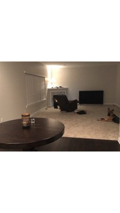 Pottery Barn black printers media with navy bryson rug