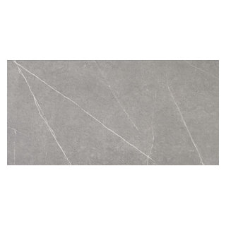 Tactile Grey Polished Porcelain Tile, 24"x48" - Transitional - Wall And ...
