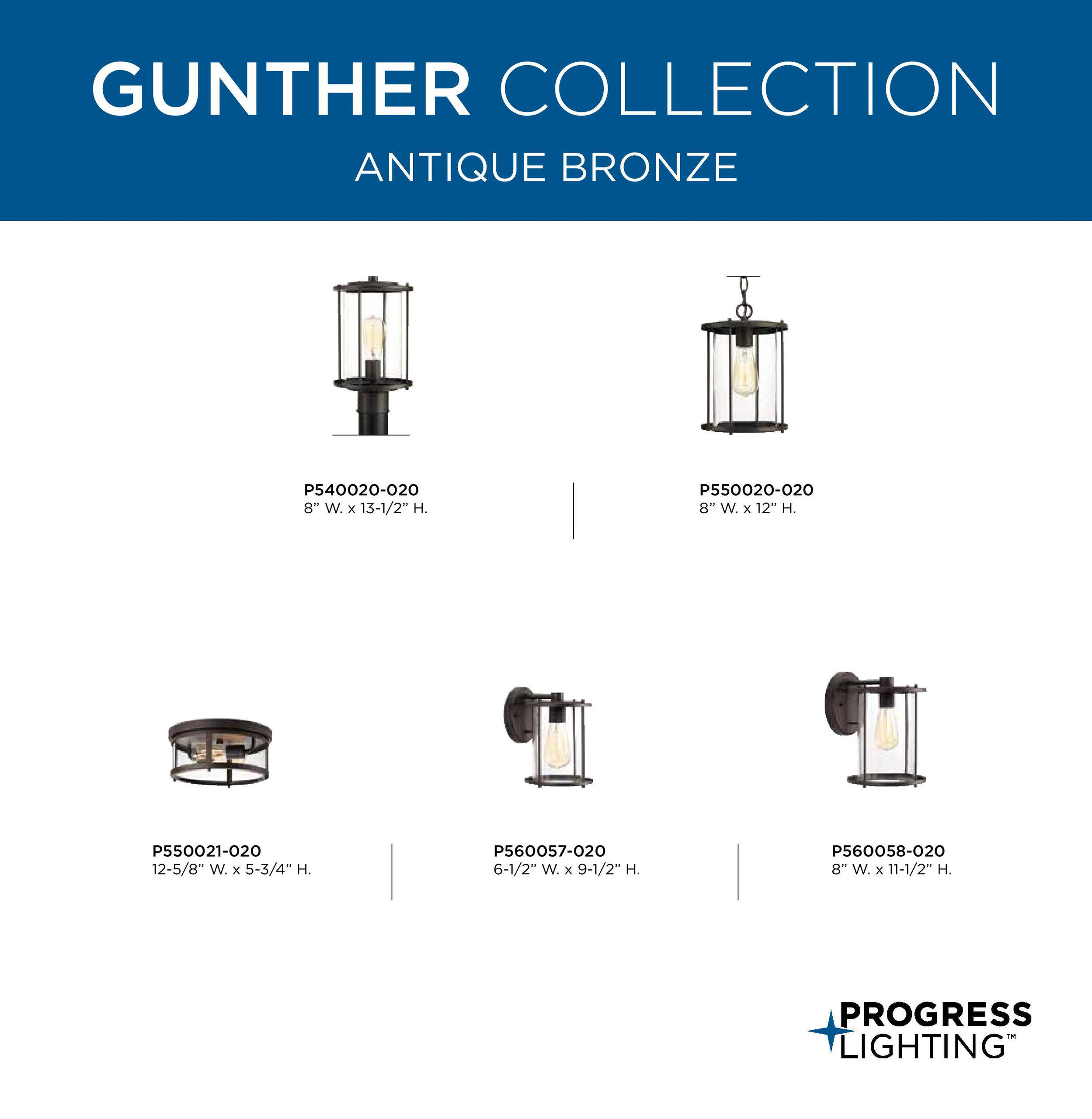 Gunther Hanging Lantern - Transitional - Outdoor Hanging Lights - by ...
