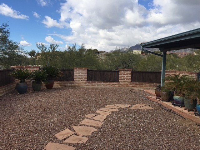 A Barren Backyard Becomes an Aquatic Oasis