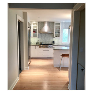 Modern Reno - Modern - Kitchen - Detroit - by Rizzolo Brown Studio | Houzz