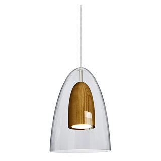 Dano 1-Light Pendant Lighting - Contemporary - Pendant Lighting - by ...