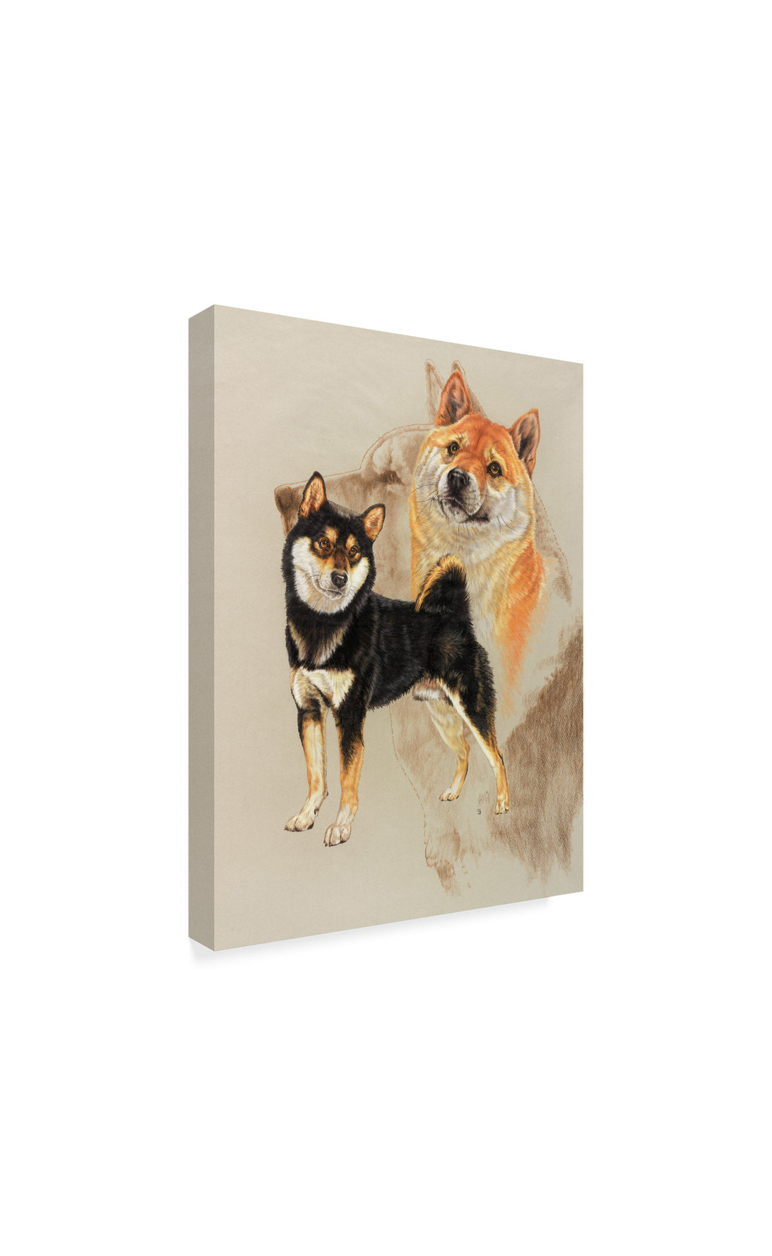 "Sheba Inu" by Barbara Keith, Canvas Art, 24"x18" - Contemporary ...