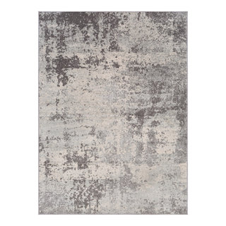 Chester CHE-2341 Rug, 6'7"x9' - Contemporary - Area Rugs - by Area Rugs ...