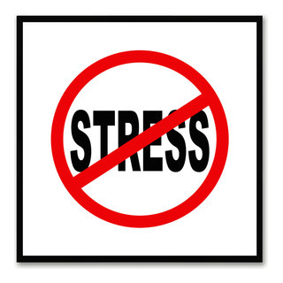 "No Stress" Sign White Canvas Print, Custom Picture Frame, 20"x20 ...
