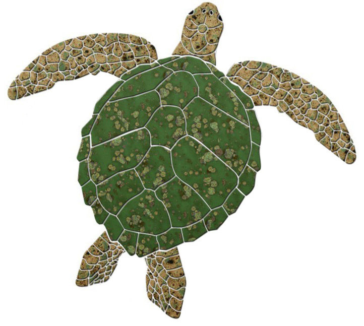 Sea Turtle 2 Ceramic Swimming Pool Mosaic, 36"x33" - Beach Style ...